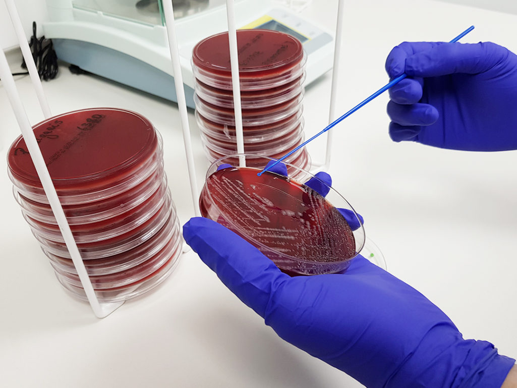 Laboratorio Clínico y Toma de Muestras - Fundación Arturo López Pérez